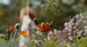 Jane Campion’s Bright Star: “The difference between a sentence and a ...
